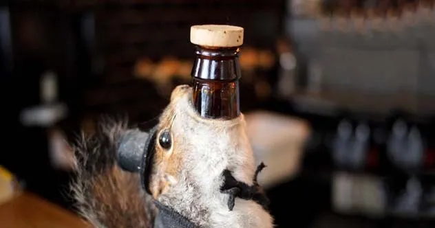 Top 10 Unusual Alcoholic Beverages - Mytour