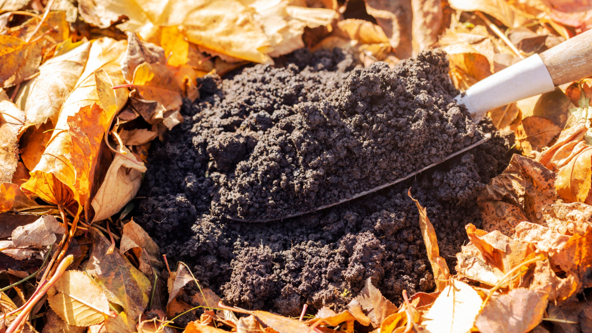 How to Revive Your Garden Soil During Winter | Mytour