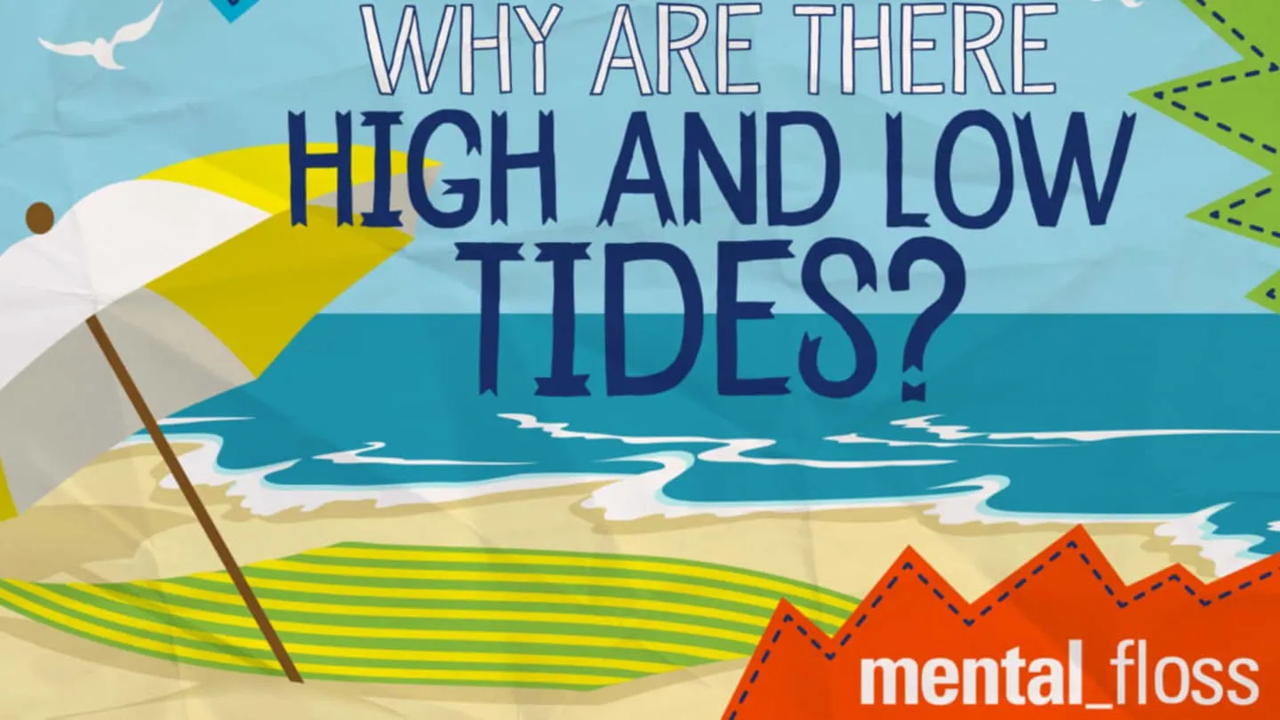 What Causes the Rise and Fall of Ocean Tides?