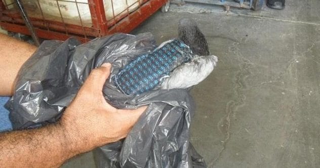 10 Unusual Instances of Prison Smuggling - Mytour