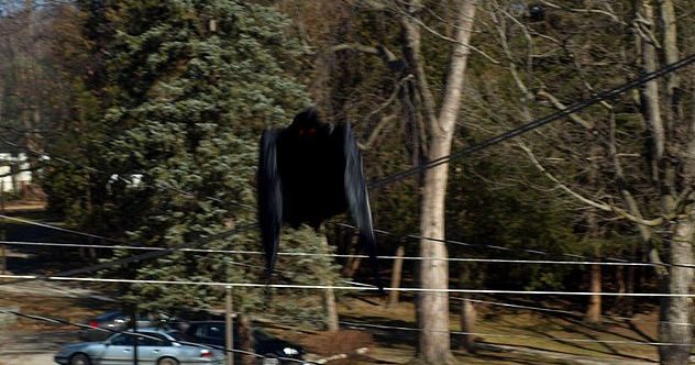 10 Intriguing Facts About the Mothman That Might Surprise You - Mytour