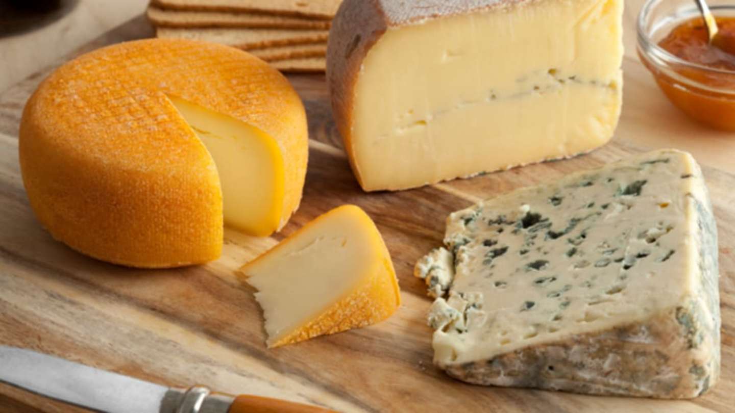 The Rapid Evolution of Cheese Mold: Implications for Cheese Enthusiasts