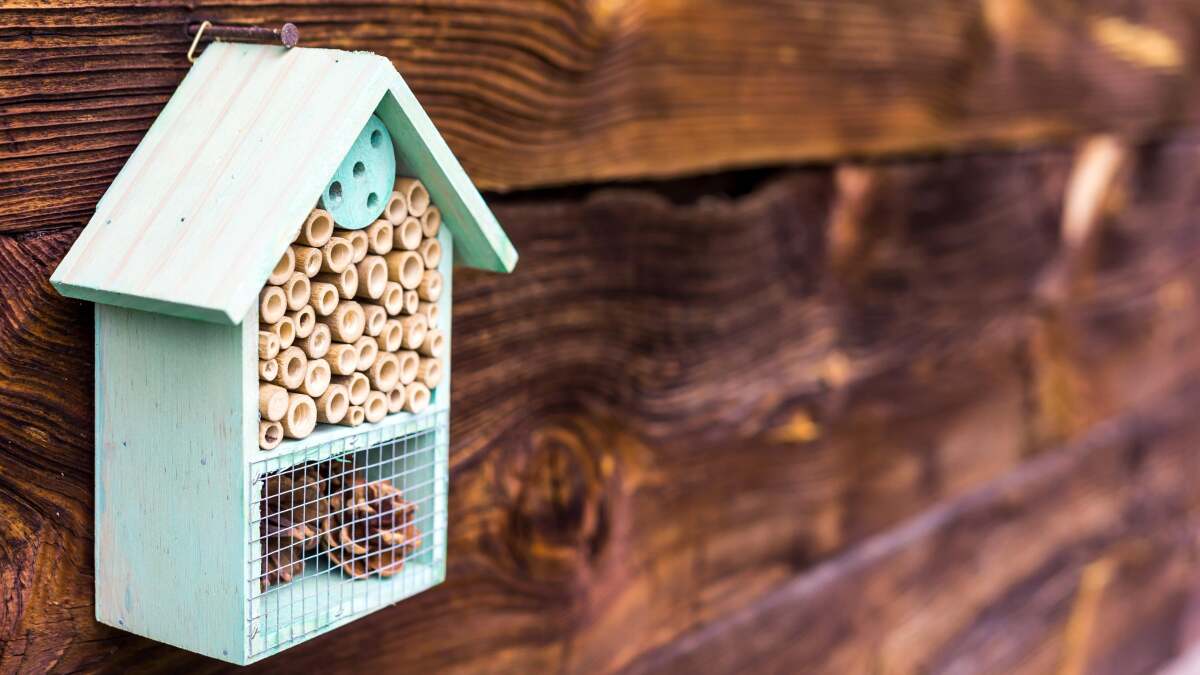 How to Build a Mason Bee Habitat for Your Garden | Mytour