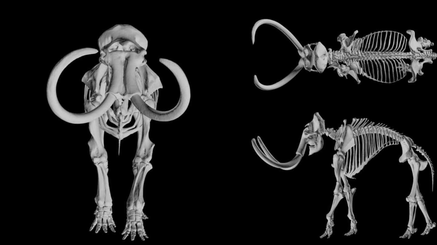10 Invaluable Smithsonian Artifacts You Can Recreate at Home with a 3D ...