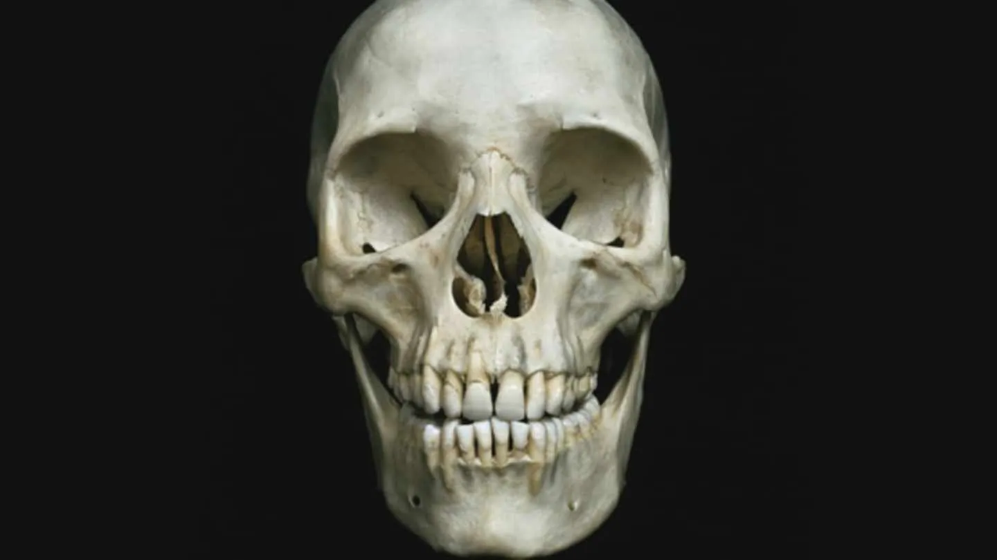 11 Unusual Yet Fascinating Exhibits at the Mütter Museum