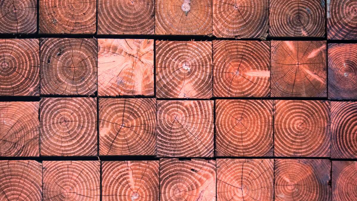 Identifying Pressure-Treated Wood: A Comprehensive Guide | Mytour