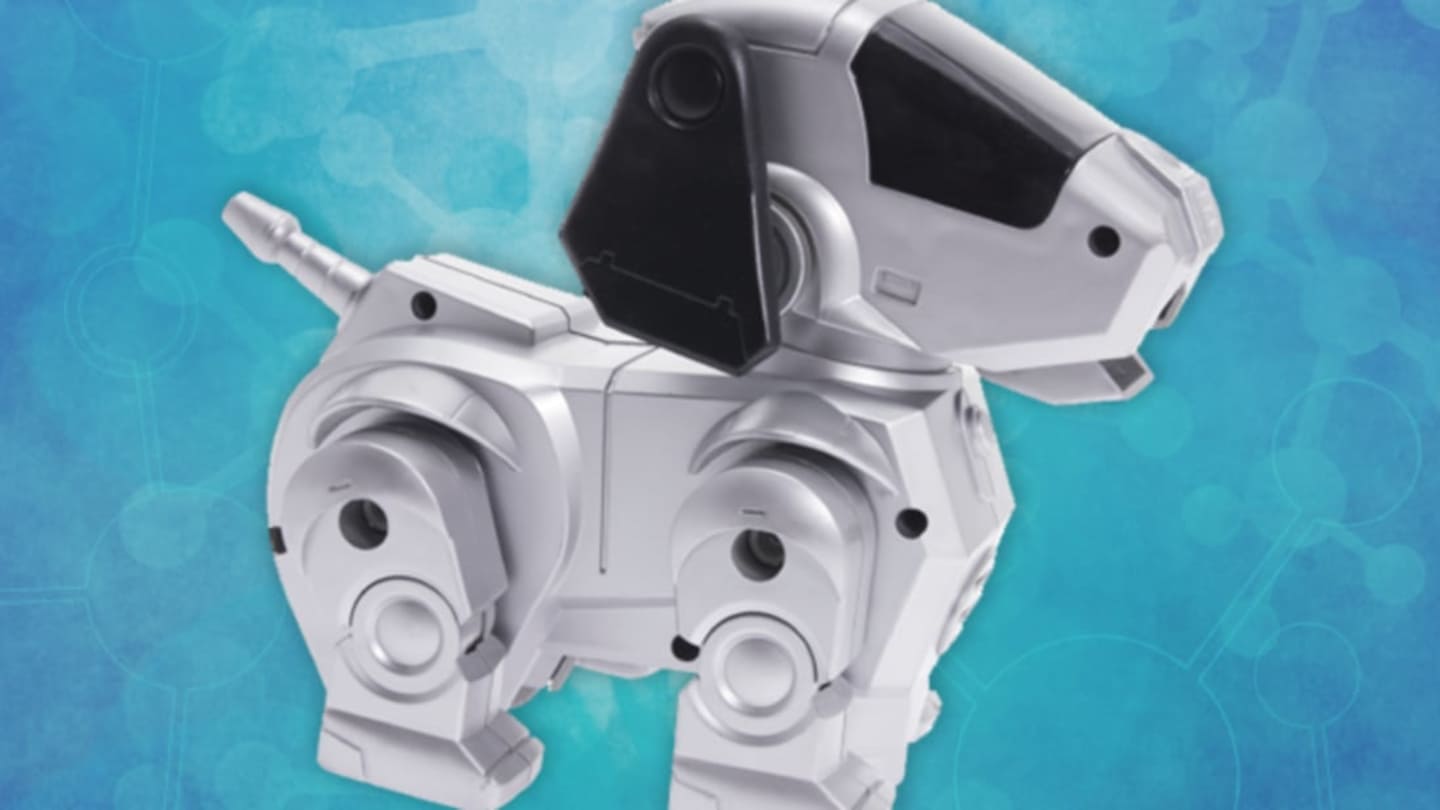 The Canine of Tomorrow is a Mechanical Companion