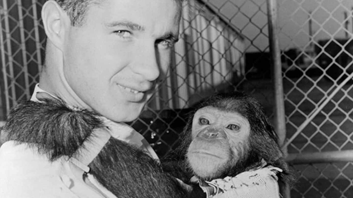 Enos the Chimp: The Pioneering Primate in Space, 54 Years Later