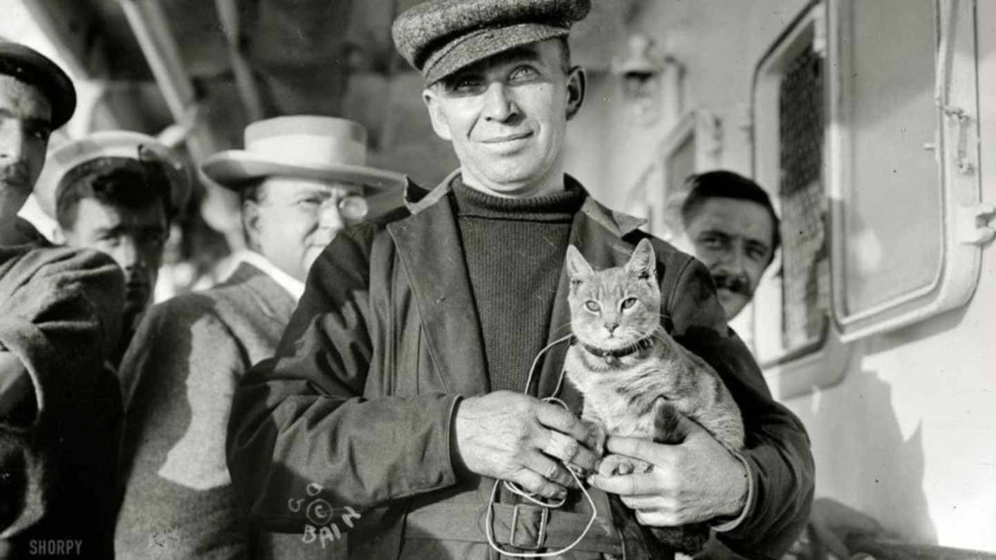 Kiddo, the Airborne Cat