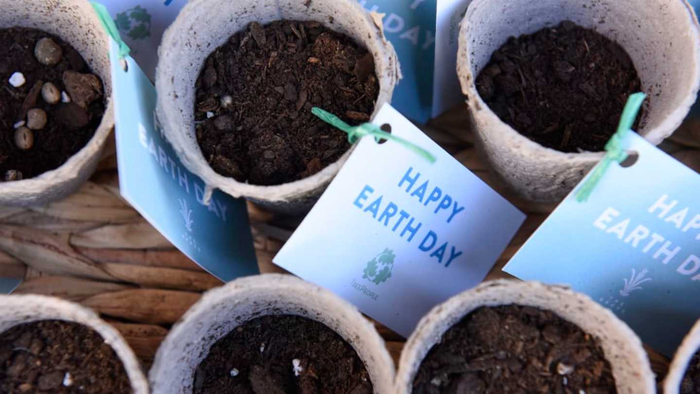 9 Innovative Ways to Honor Earth Day While Staying Indoors