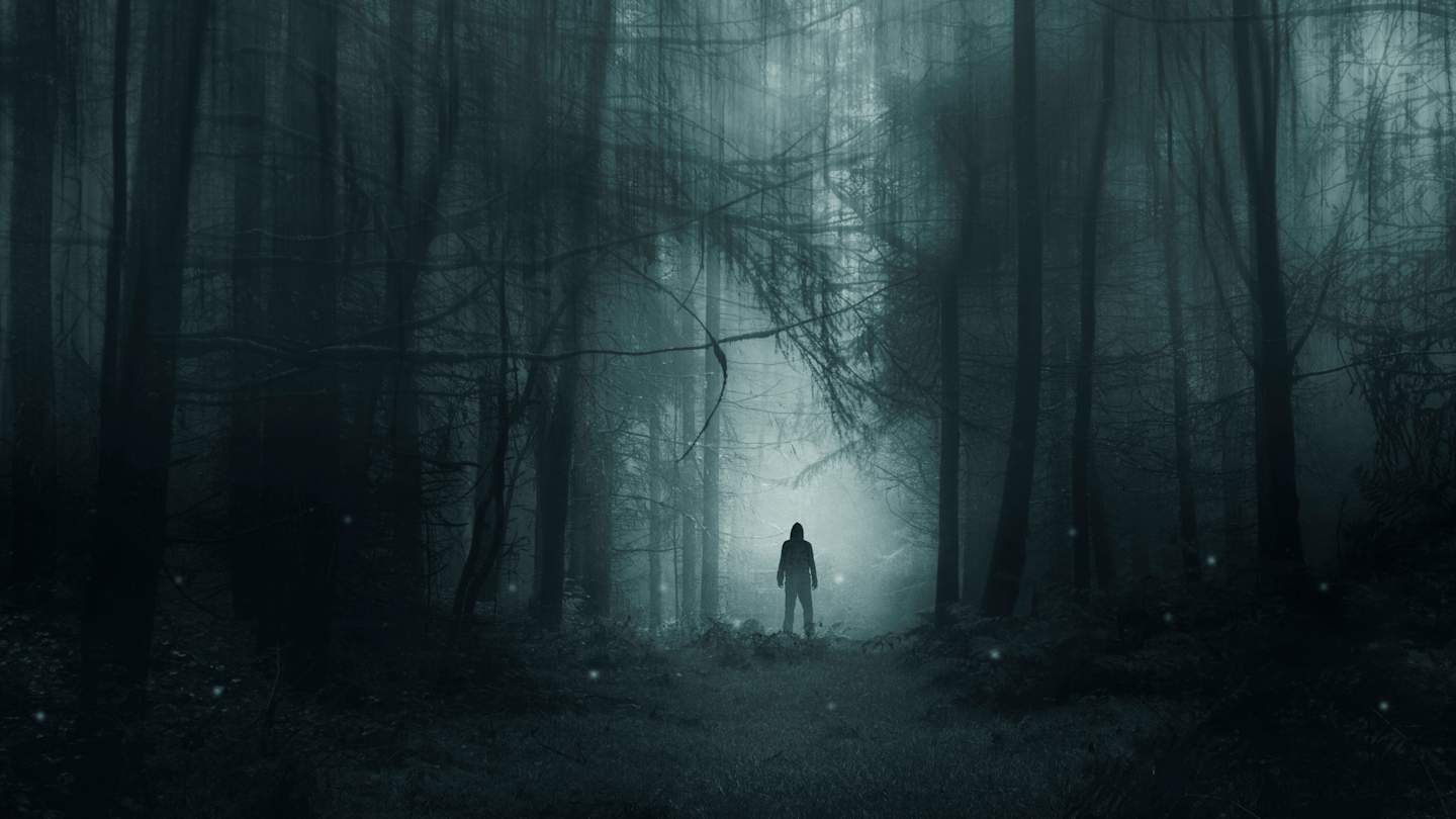 10 Spine-Chilling Haunted Trees and Forests You Should Avoid