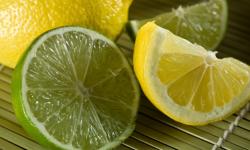 What are the common symptoms of a citrus allergy? | Mytour