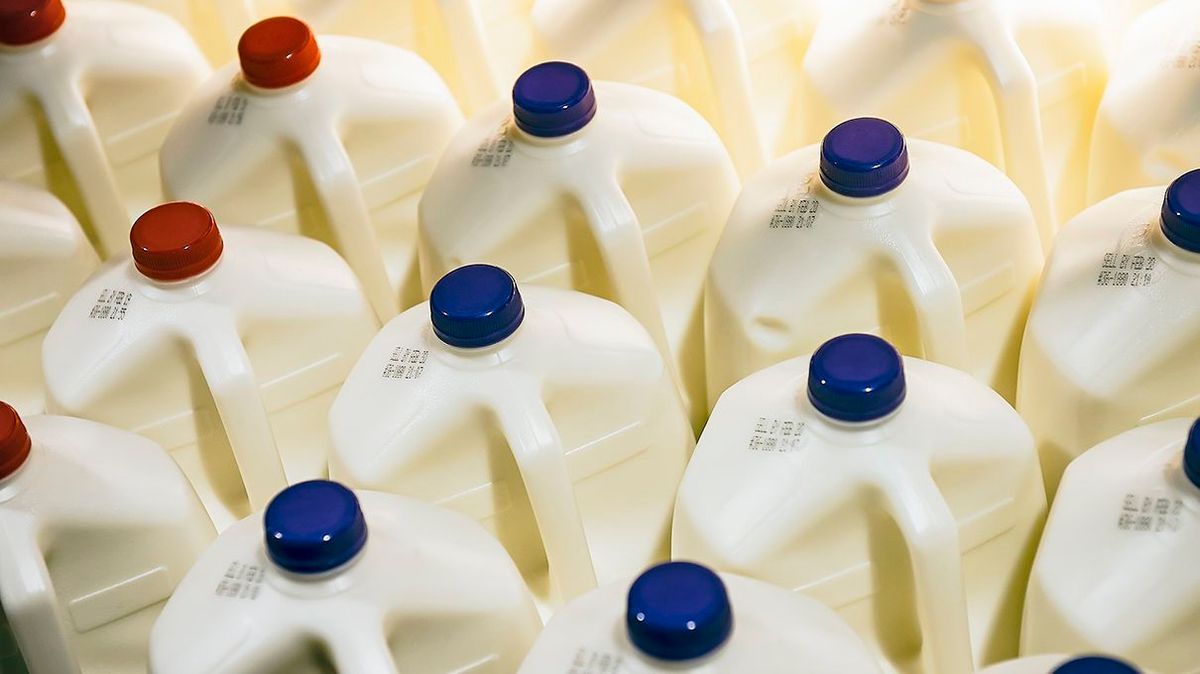 The Science Behind Why Drinking a Gallon of Milk Is a Herculean Task ...