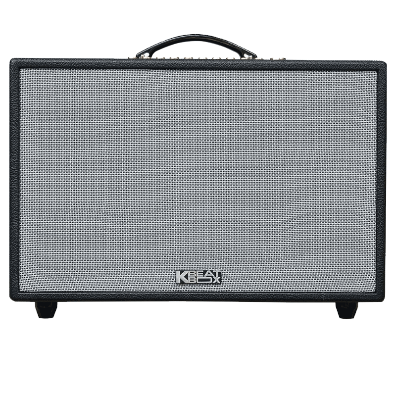 Loa xách tay Acnos CS3600 (2 mic)