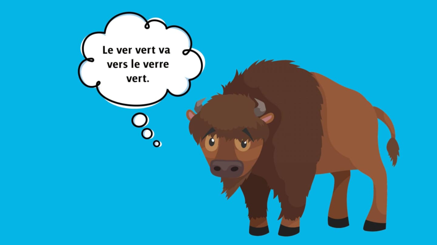 Exploring Beyond 'Buffalo Buffalo': Discover 9 More Repetitive ...