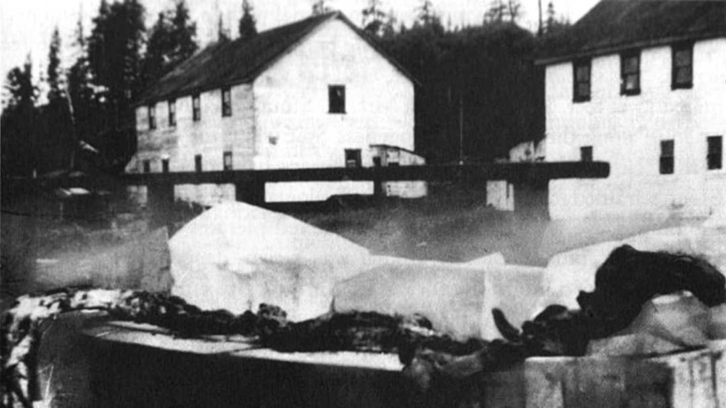 Canada, with its expansive and untamed wilderness, is home to a unique ...