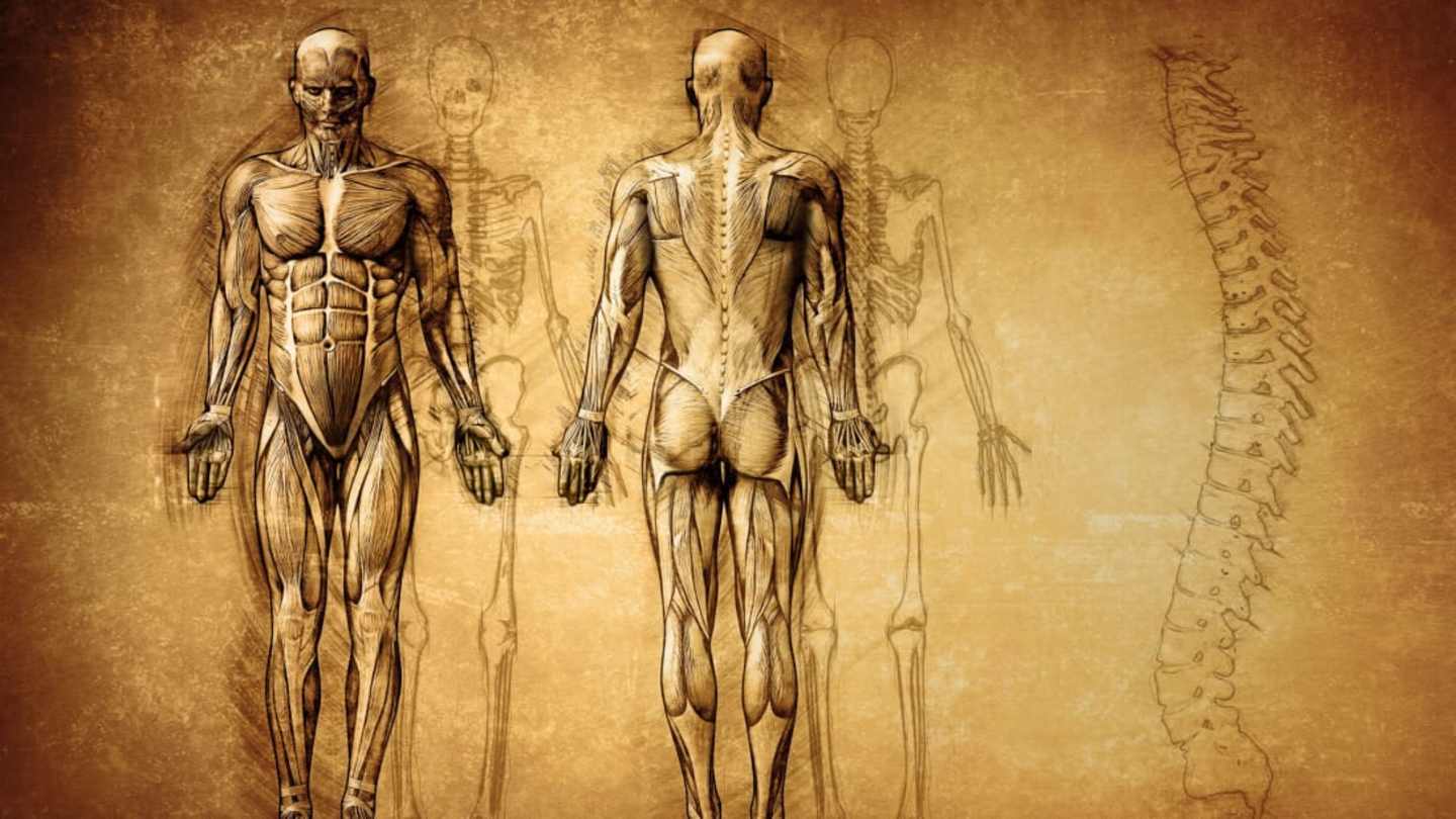 The Tale of Ralstonism: A Peculiar Chapter in the History of Health ...