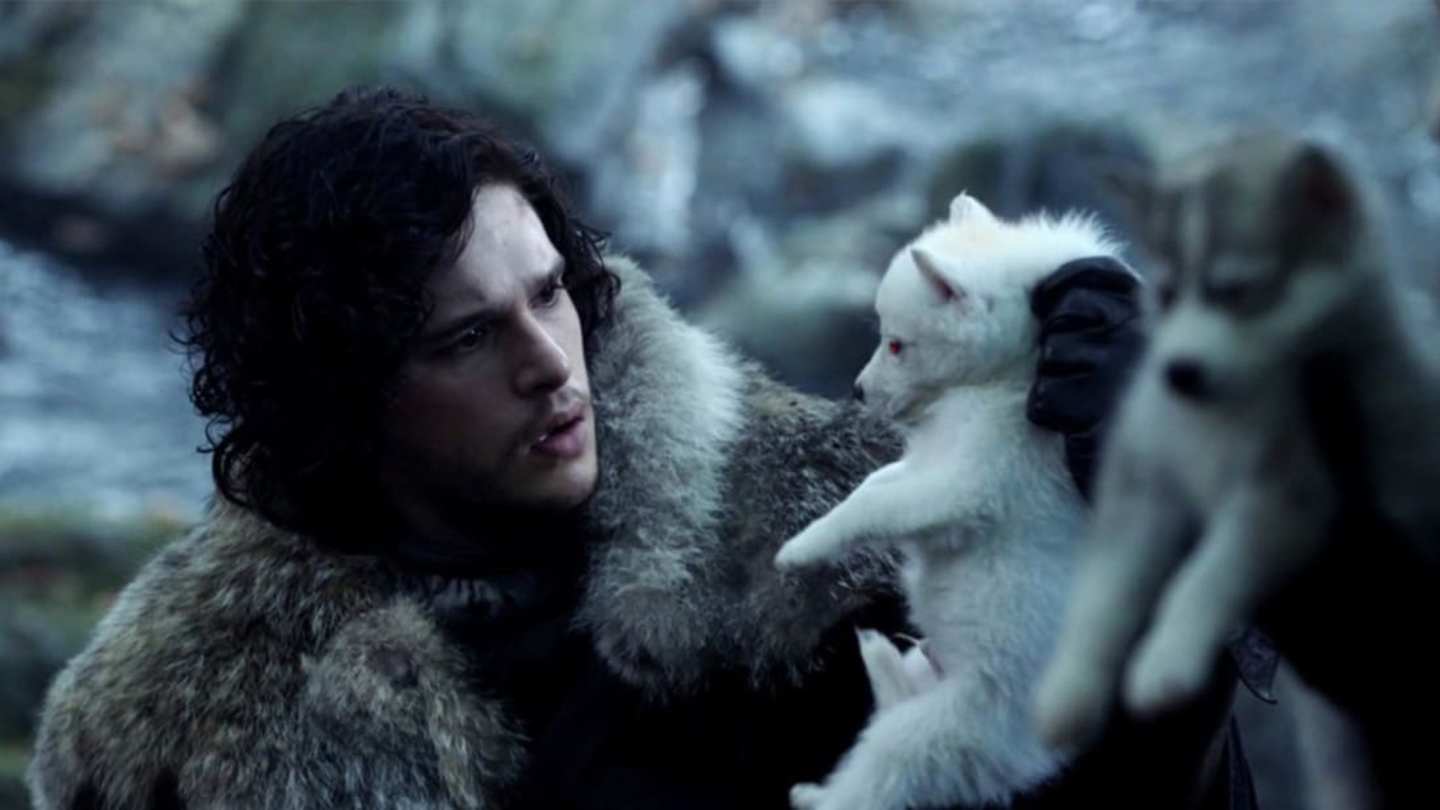 Enthusiast Suggests Stark Direwolves' Names Foreshadow Their Destinies in 'Game of Thrones'