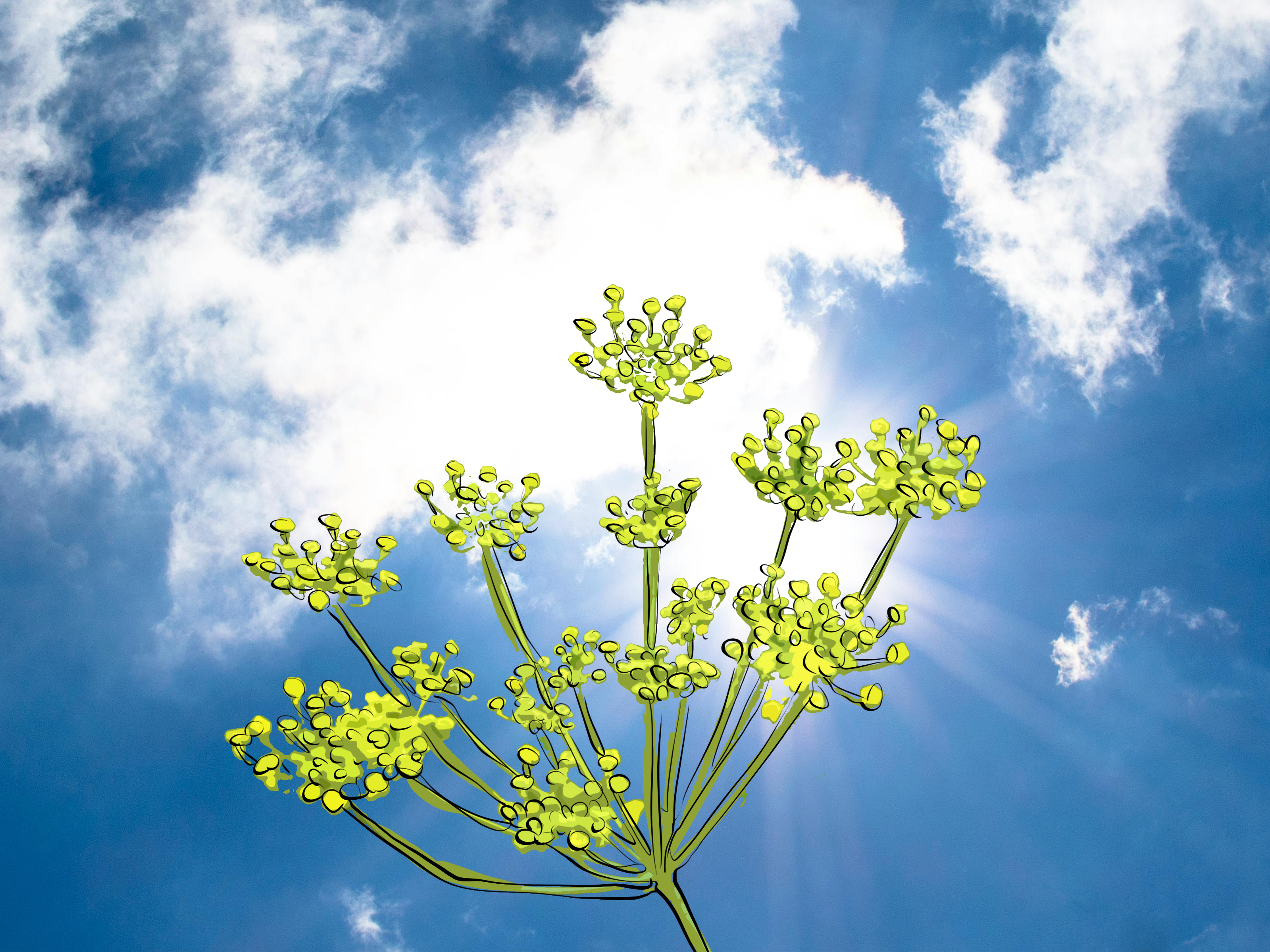 21 Flowers That Symbolize Strength, Bravery, and Resilience