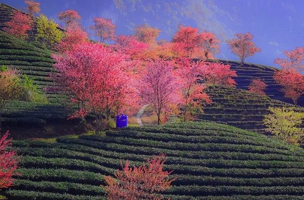 23 Áng thơ xuân tuyển chọn - Hành trình thơ du xuân