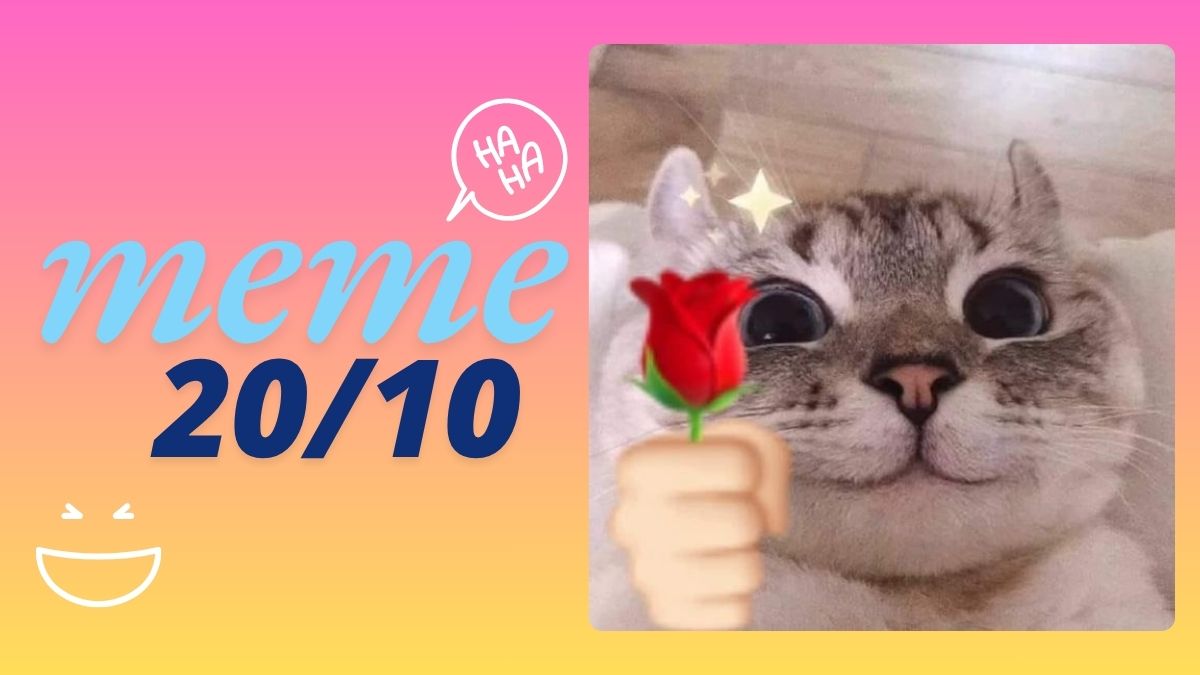 99+ meme 20/10 chúc mừng hài hước "cười xỉu"