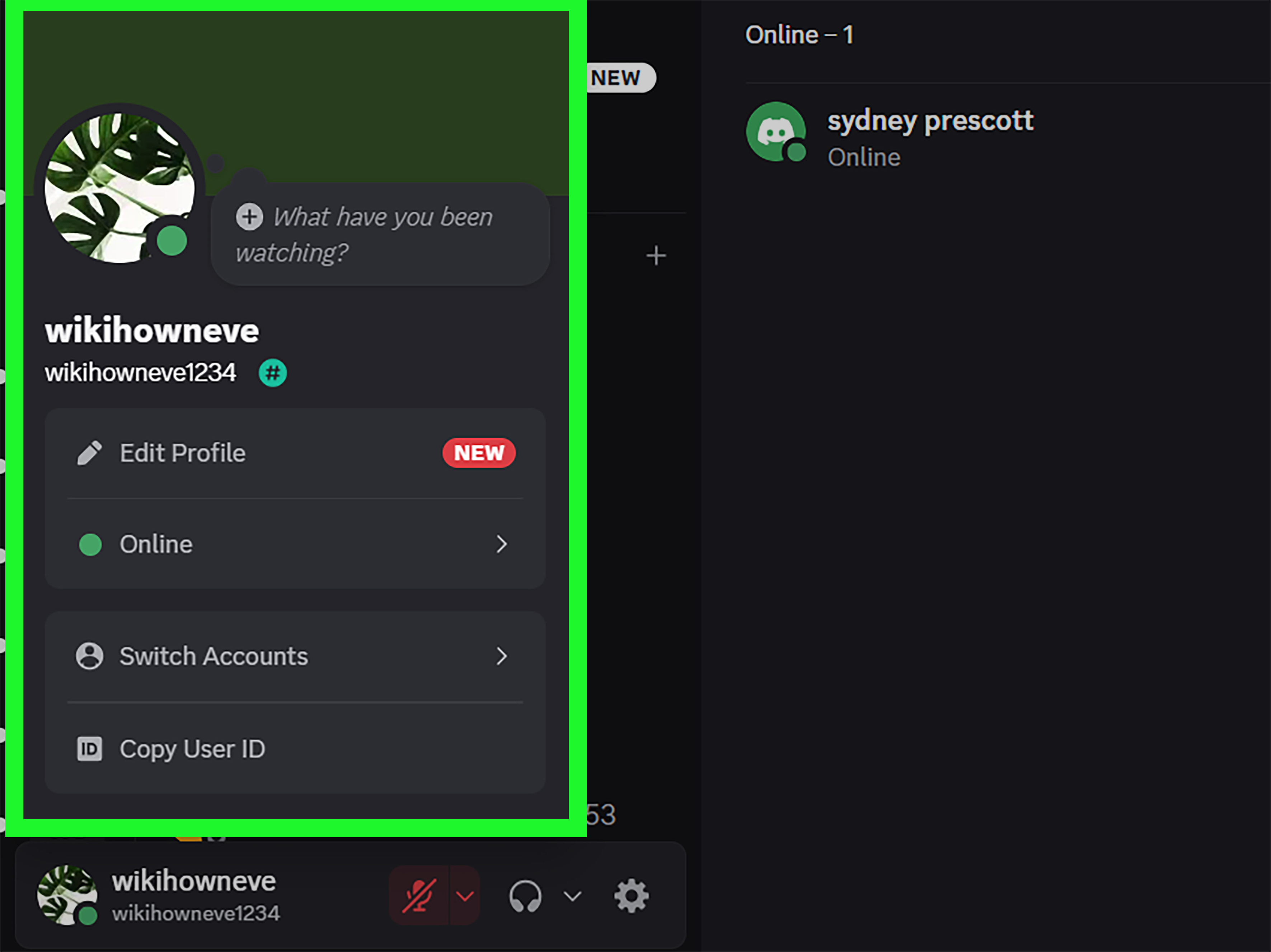 Cách loại bỏ HypeSquad Badge trên Discord: Hướng dẫn đầy đủ